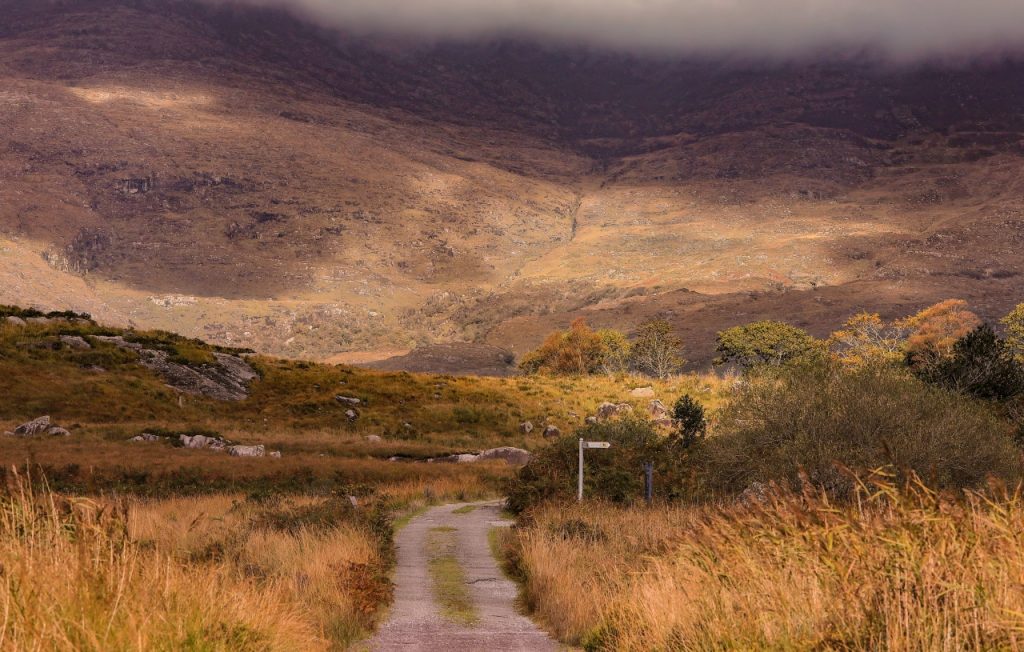 NPWS acquire more land in the National Park - Killarney Advertiser