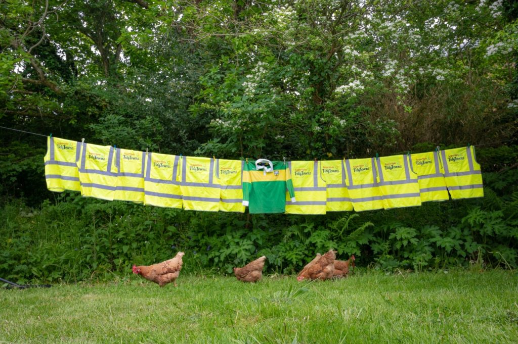 Tidy Towns volunteers to carry Yvonne Quill’s legacy - Killarney Advertiser