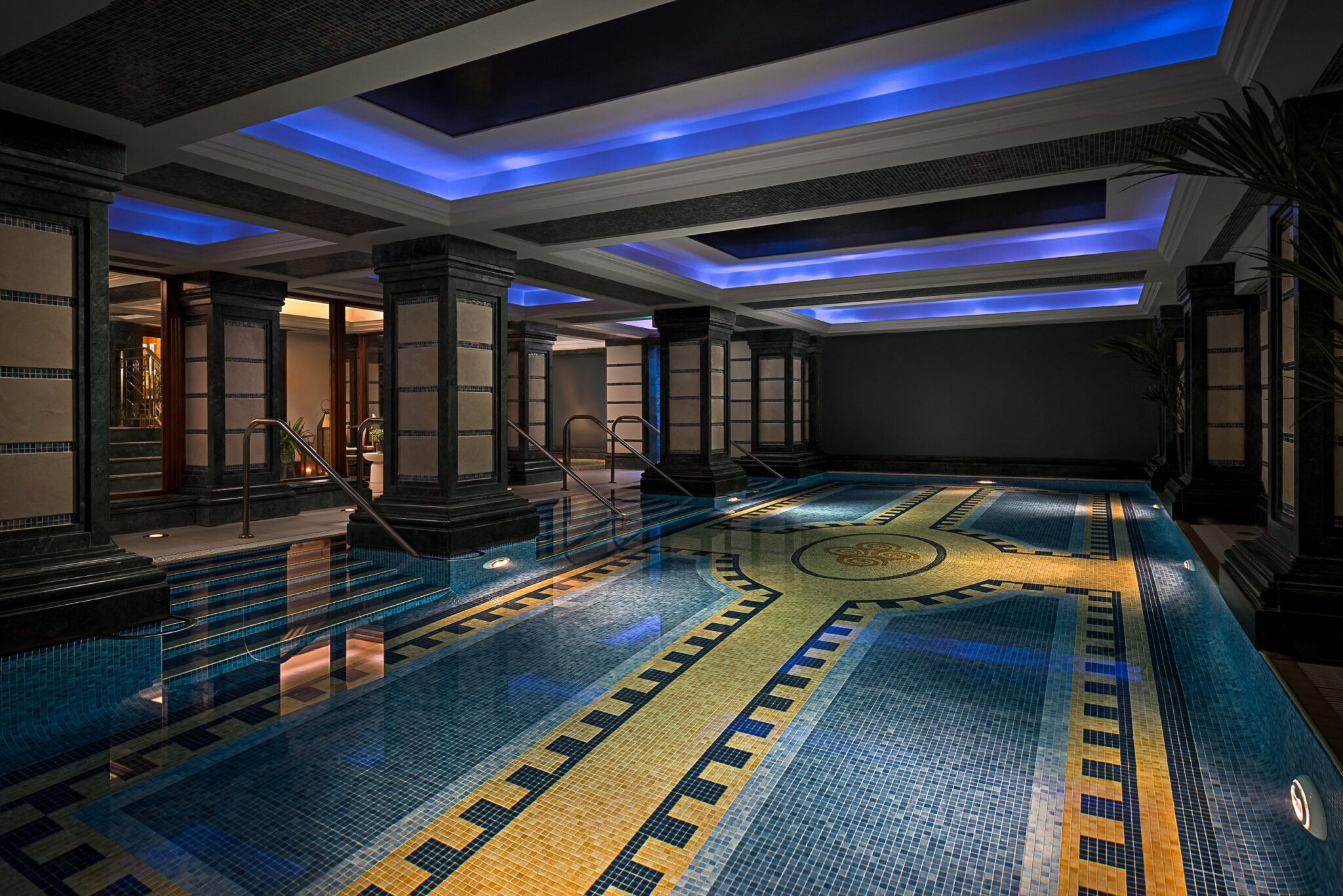 Killarney Judo athletes join High Performance national squad ...