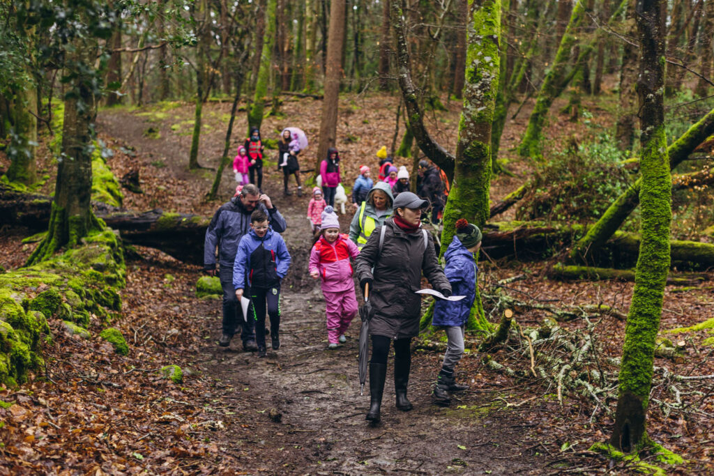 Wander Wild Festival announces expansions for 2026 - Killarney Advertiser
